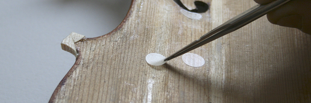 New | Parchment Covers from SCHILBACH — English